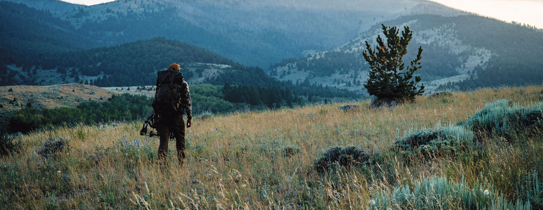 Dominator Duo X 38 – Official PSE Archery Store